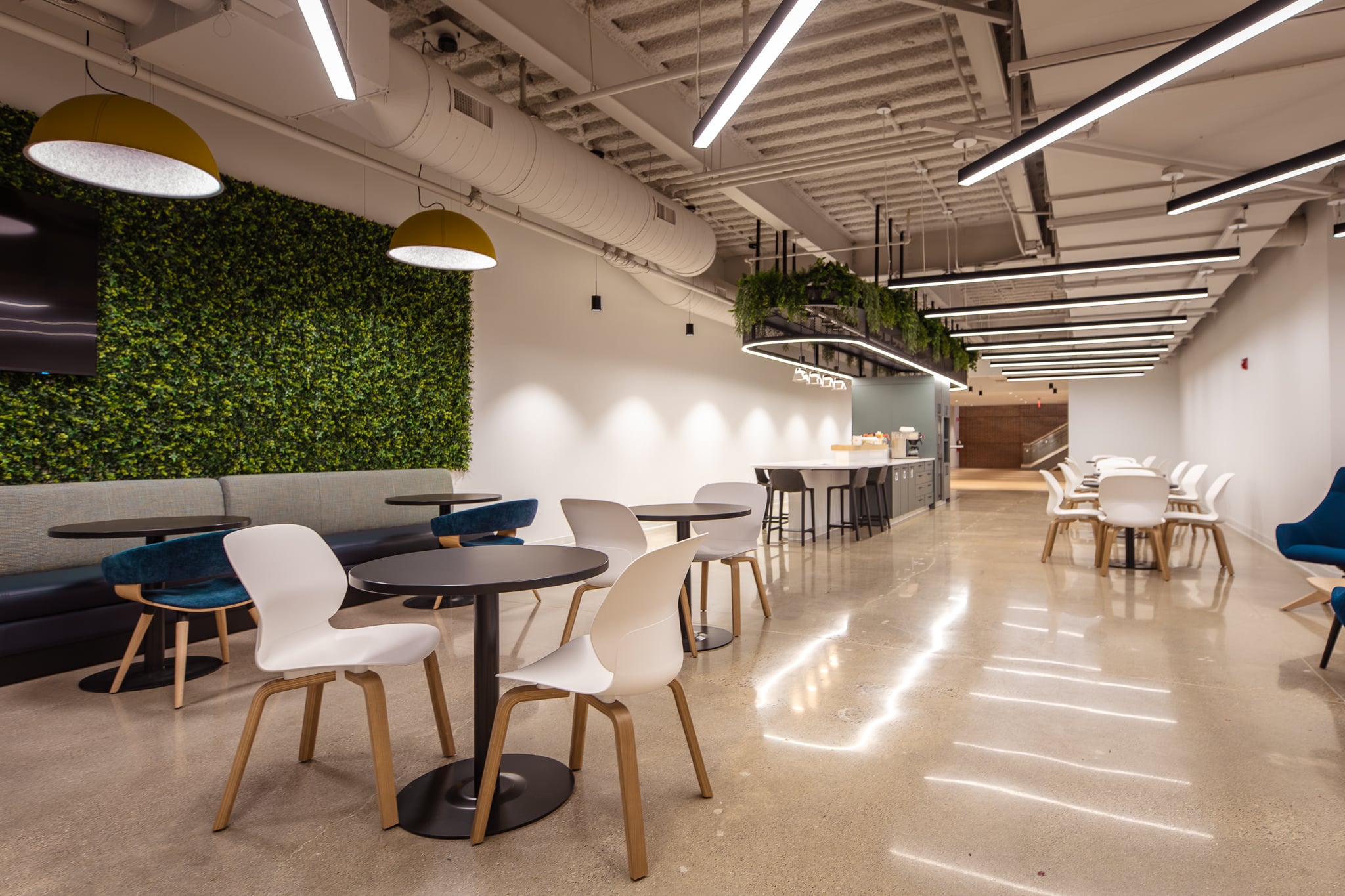 Renovation - Roncelli